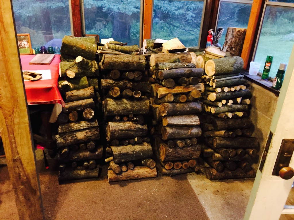 Girdling Trees to Expand Food Plots – Mink Hollow Farm